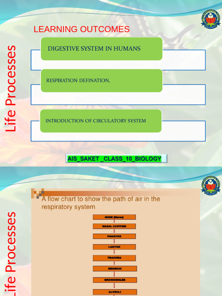 Life Processes 7 | PDF