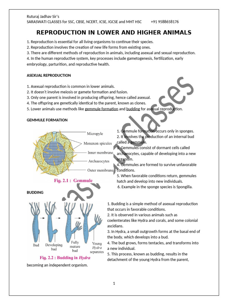 Class 12 Biology CH 2 | PDF | Testicle | Reproduction