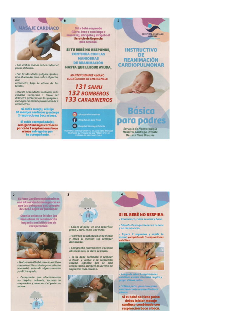 Triptico RCP Básico | PDF