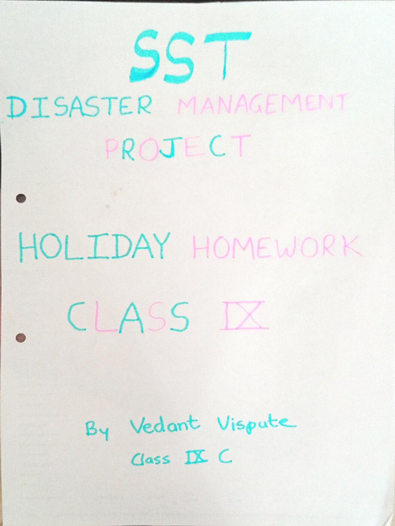 Disaster Project | PDF