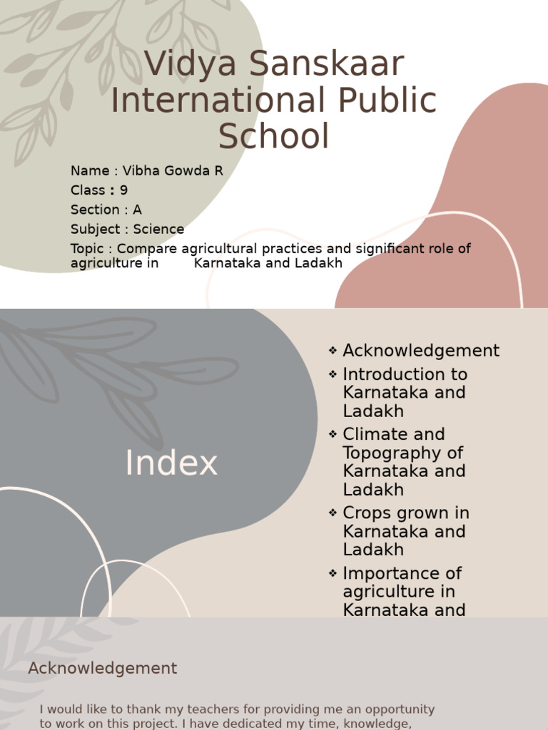 Presentation (4) 2 | PDF