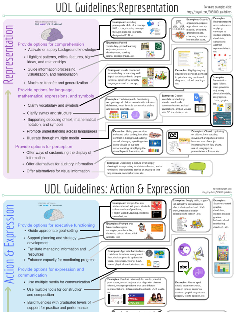 UDL - Guideline Infographics | PDF