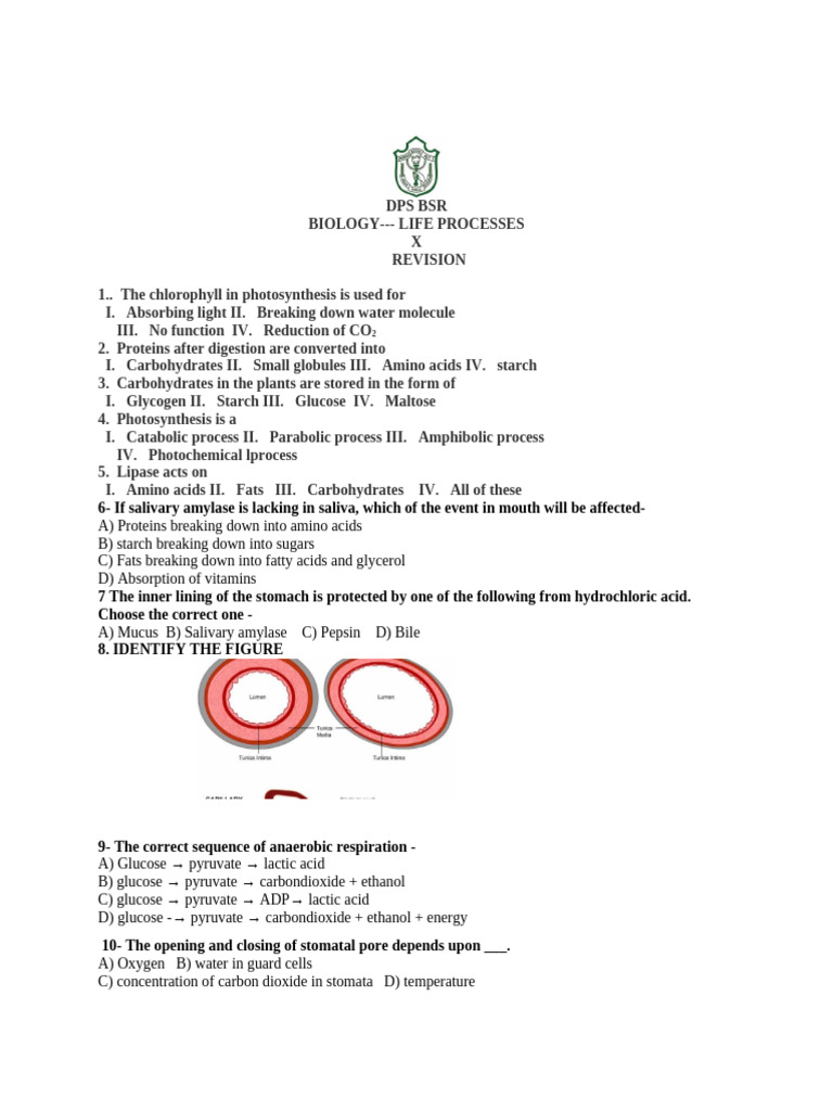 MCQS of Life Process | PDF