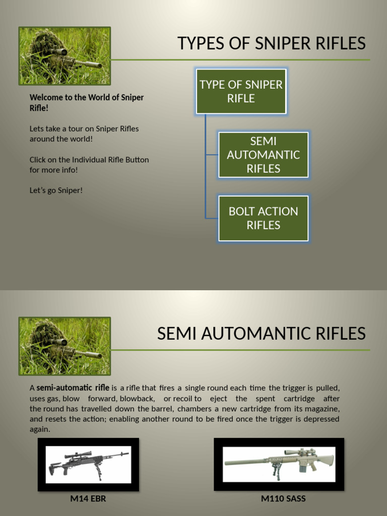 Types of Sniper Rifles | PDF