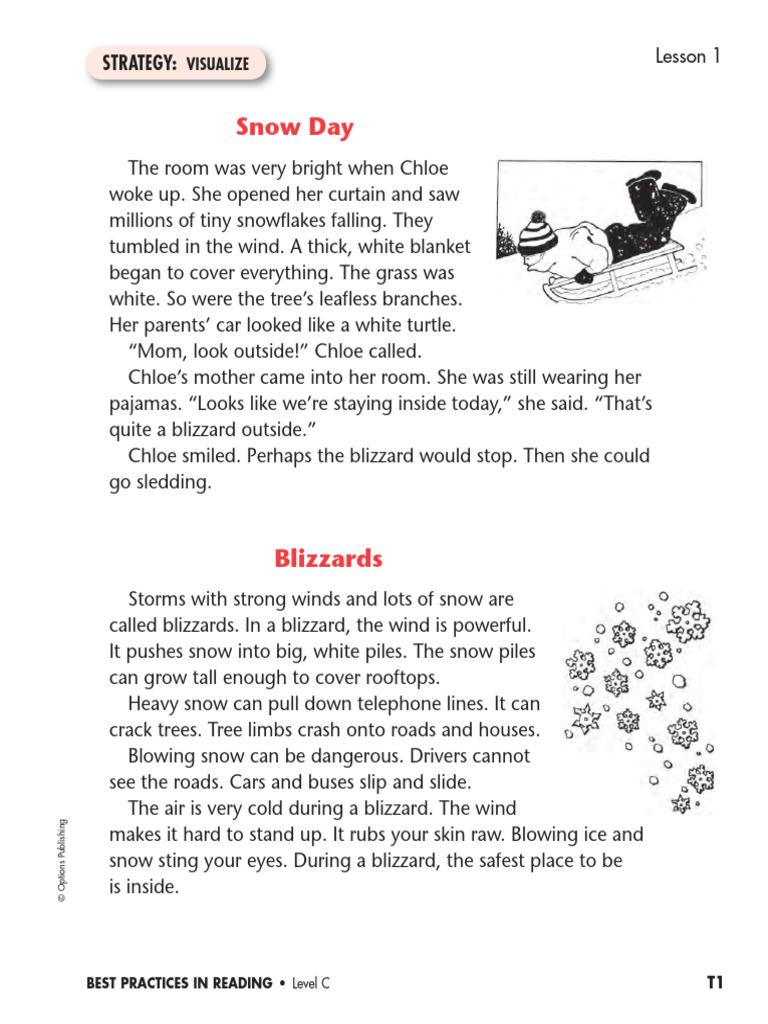 Level C Transparencies | PDF