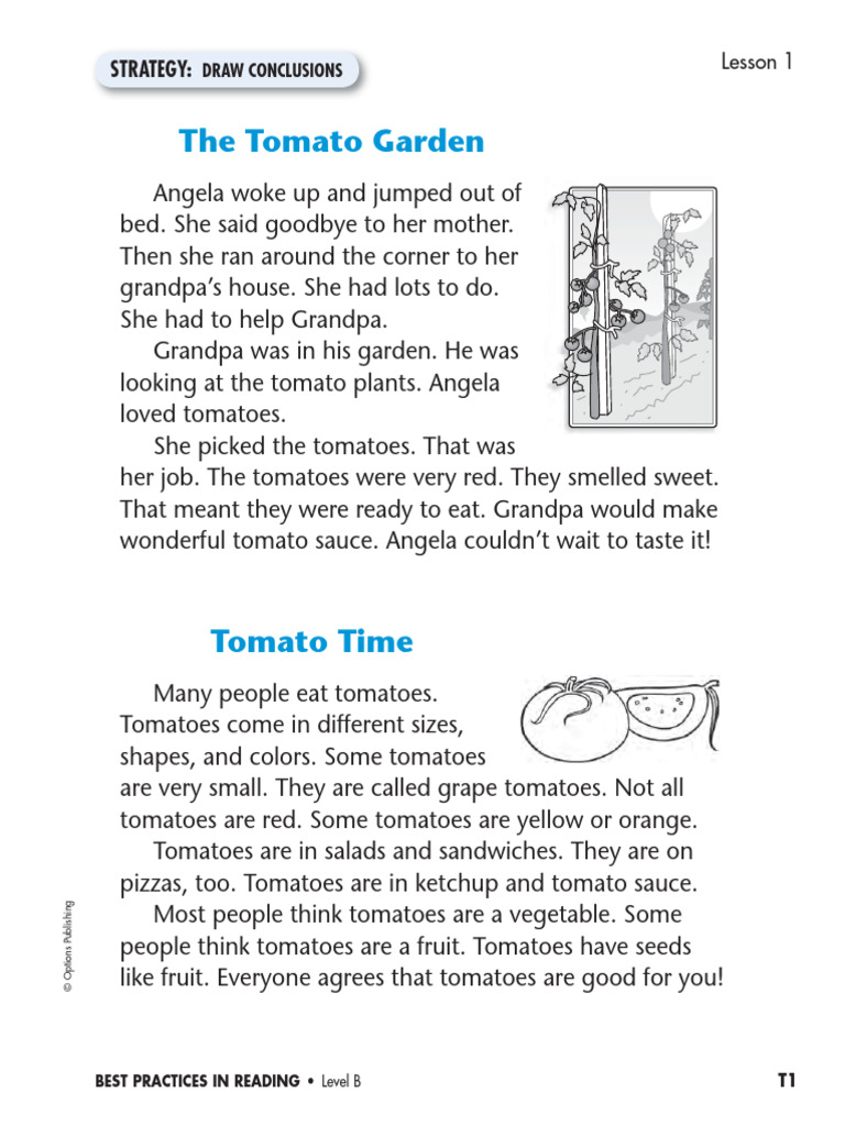 Level B Transparencies | PDF