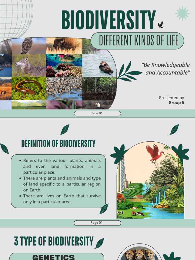 Biodiversity (Sts | PDF