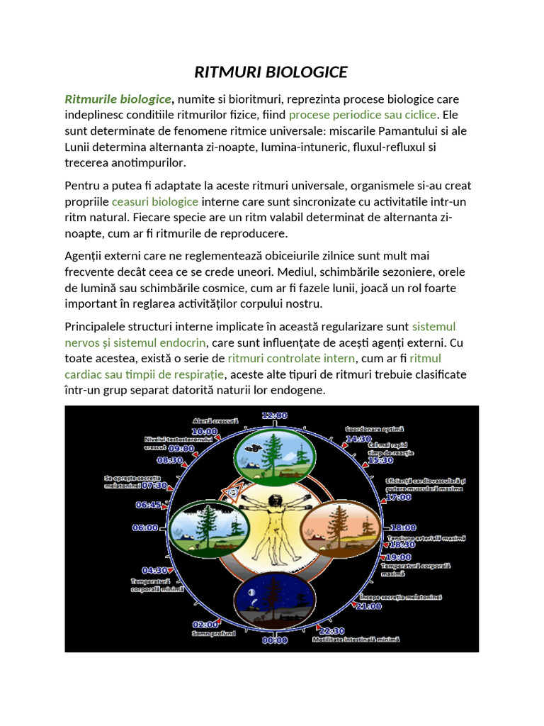 Ritmuri Biologice | PDF