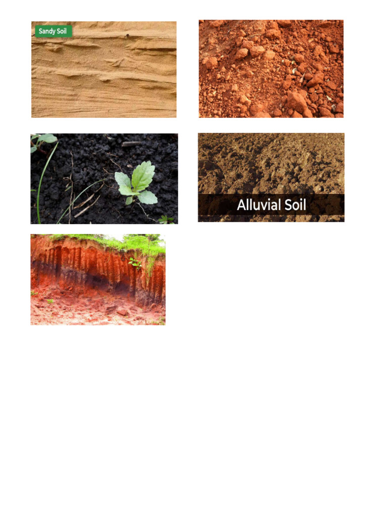 soil | PDF
