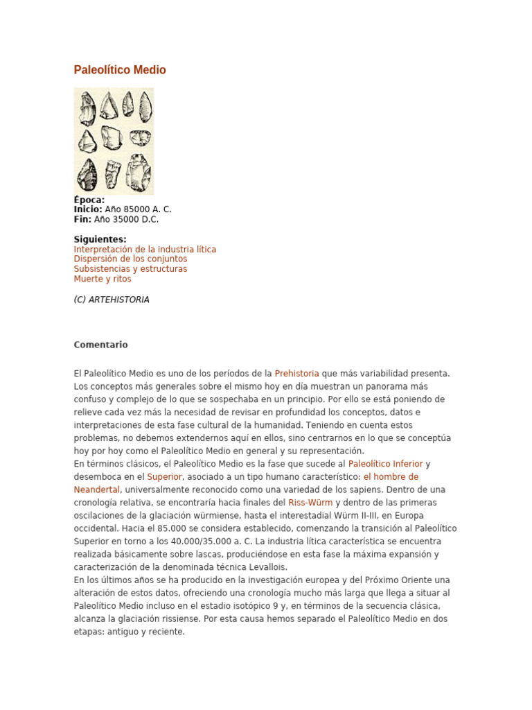 Paleolítico Medio | PDF