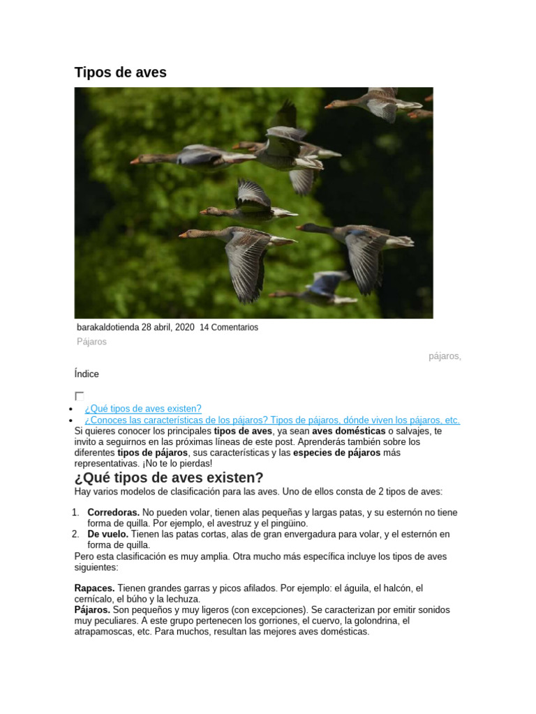 Tipos de aves | PDF