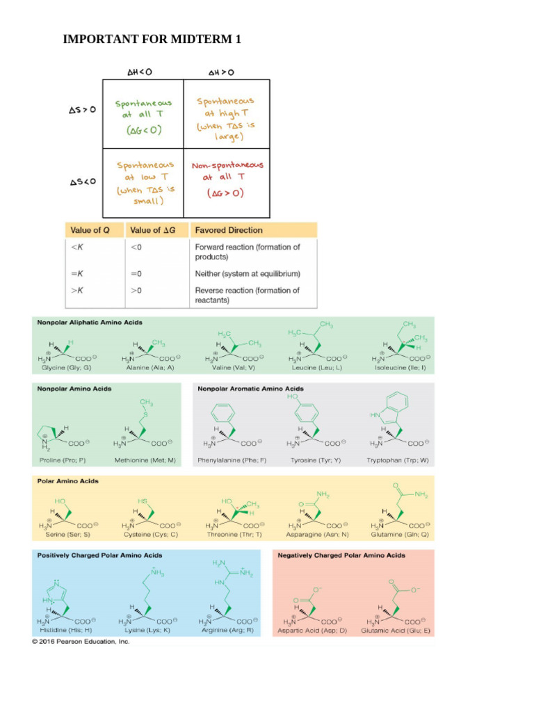 BCH 2333 Important Notes | PDF