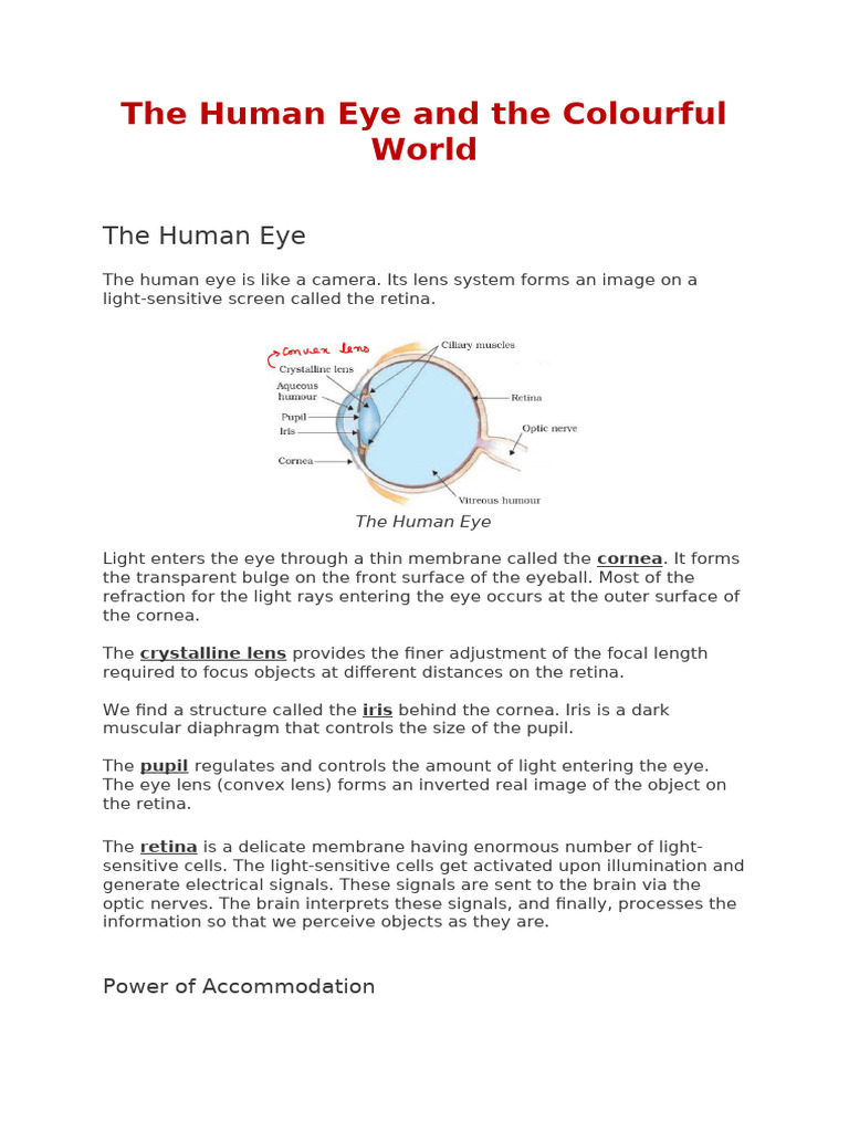 The Human Eye and The Colourful World | PDF