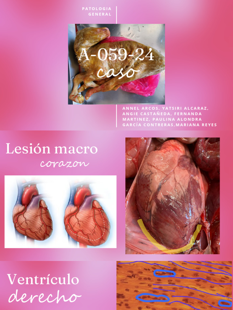 CASO ++++++++++++++++++++++++++++++++++++++++++++++++++9 (1) | PDF