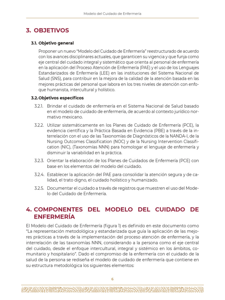 Modelo Del Cuidado de Enfermeria | PDF