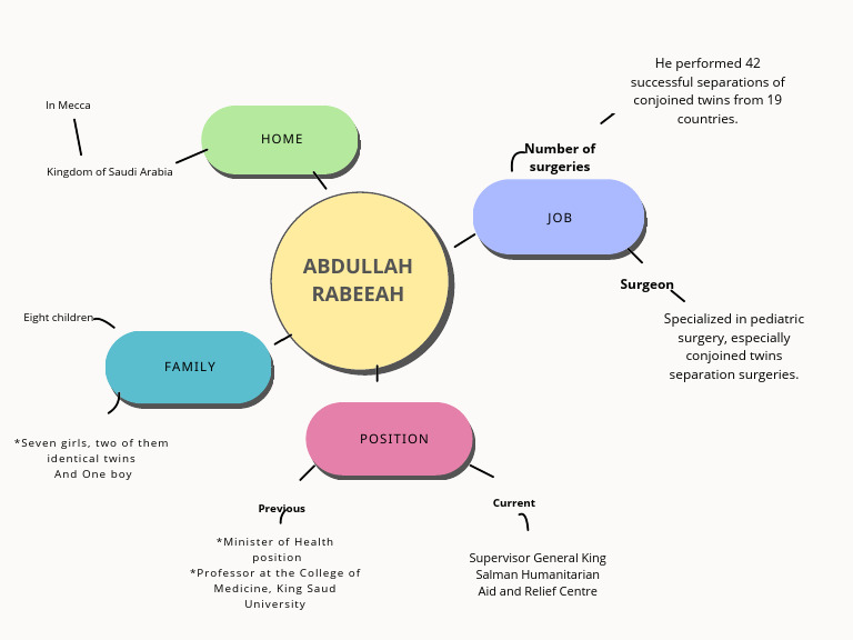 Professional Multicolor Concept Map Graph PDF | PDF
