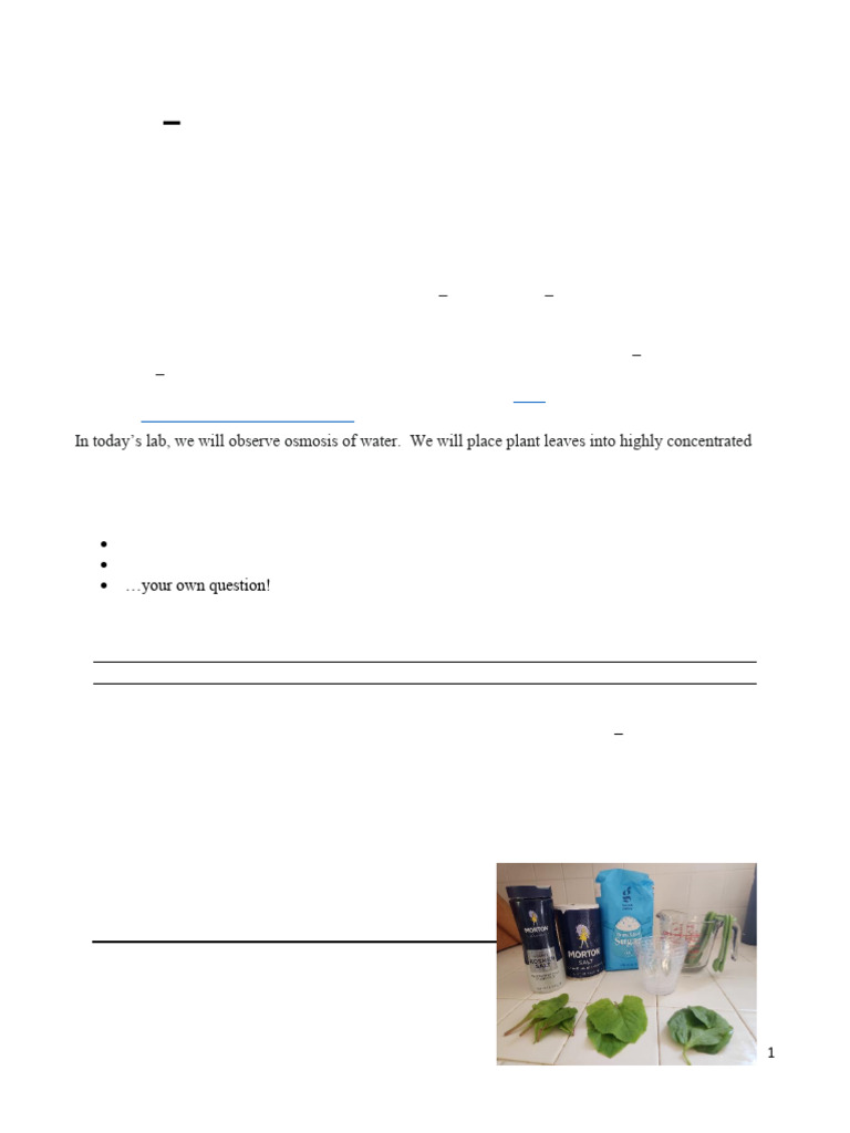 Lab 9 - Osmosis v2 | PDF