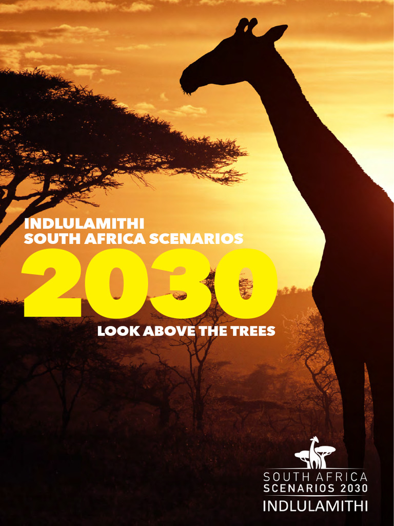 Indlulamithi: South Africa 2030 Scenarios | PDF | Economic Inequality ...