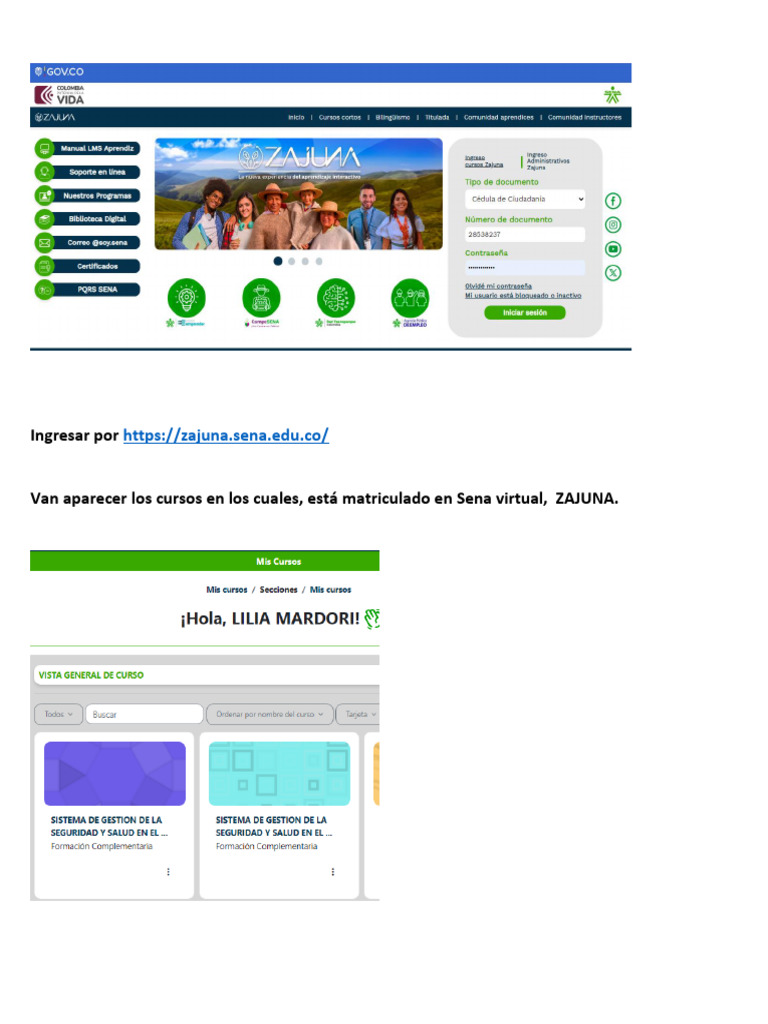 Manual Envío de Actividades-2024 SISTEMA SENA | PDF