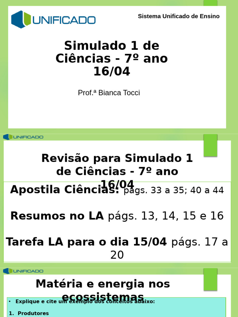 Revisão Sim1 - 7 Ano | PDF