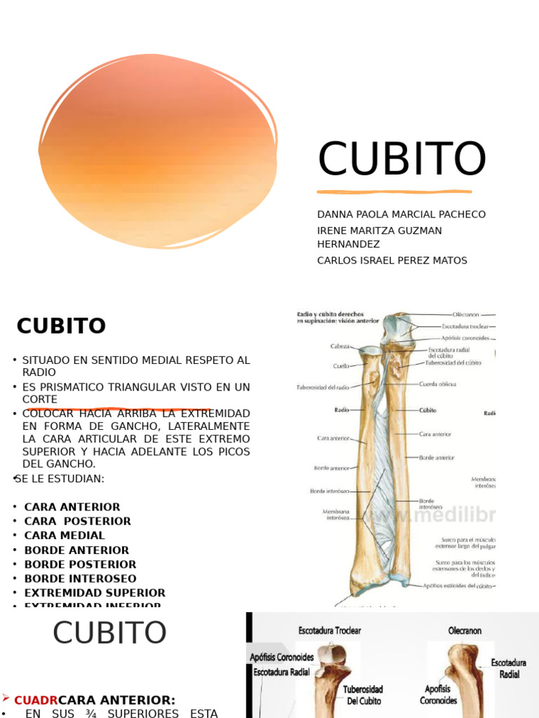 4 Cubito | PDF