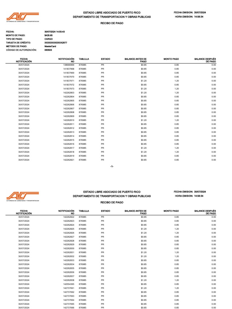 Payment Receipt 26 PDF