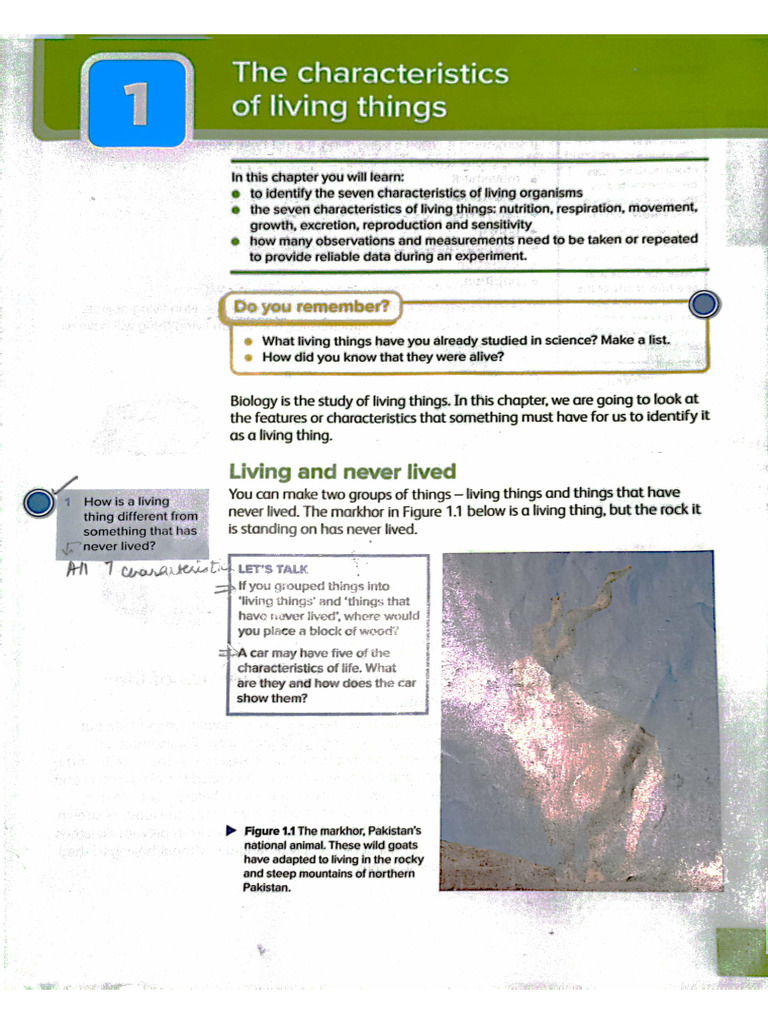 Class 6 Characteristics of Living Things and Identifying Species | PDF