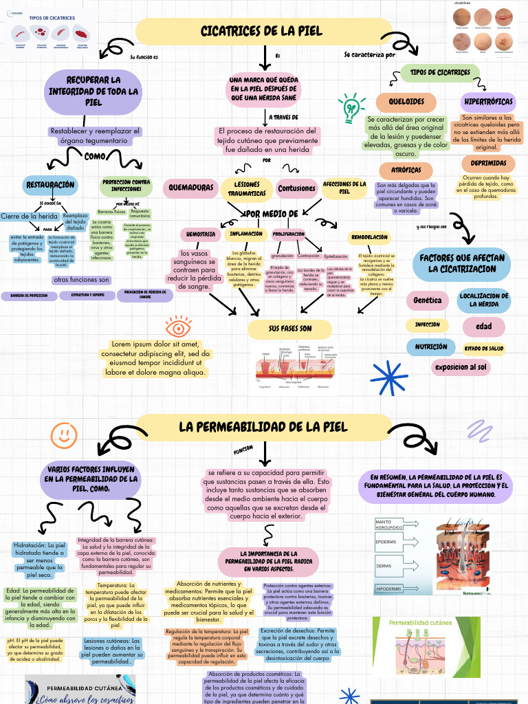 Mapas Conceptuales | PDF