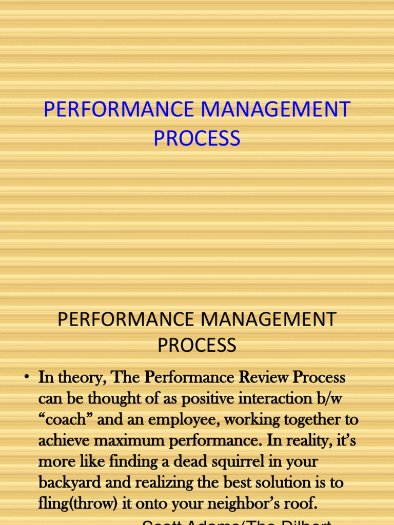 PM Process | PDF | Competence (Human Resources) | Performance Appraisal