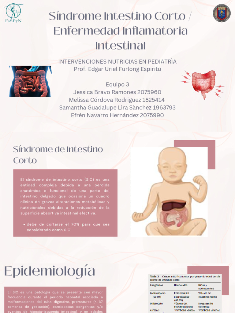 Equipo 3 - 20240711 - 155443 - 0000 | PDF