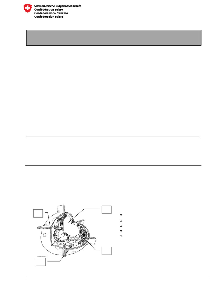 Examen Suisse de Maturité, Session D'Hiver 2011 Domaine Des Sciences Experimentales Discipline ...