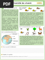 Classification Des Êtres Vivants 6ème Exercices | PDF | Espèces | Tigre