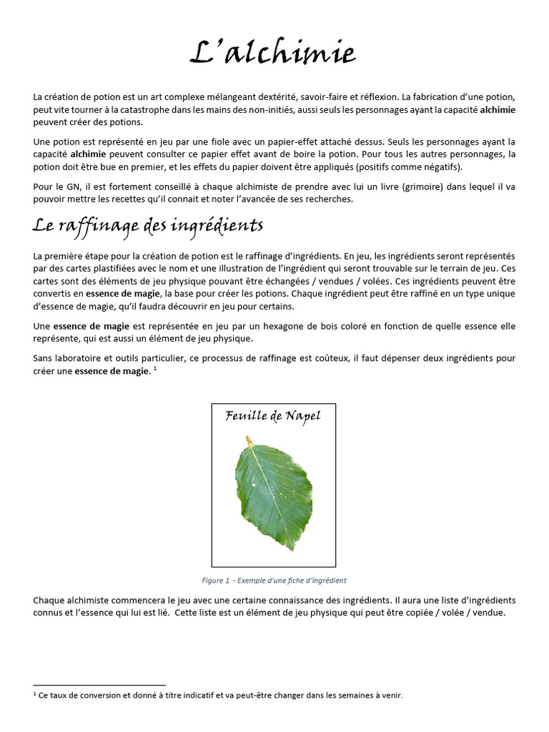 Règles D'alchimie - PJ 1.3 | PDF