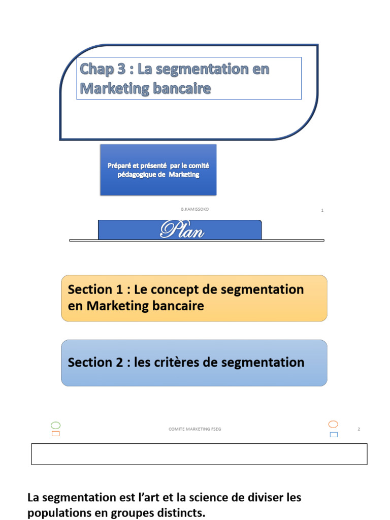 Chap 3 La Segmentation Bancaire | PDF