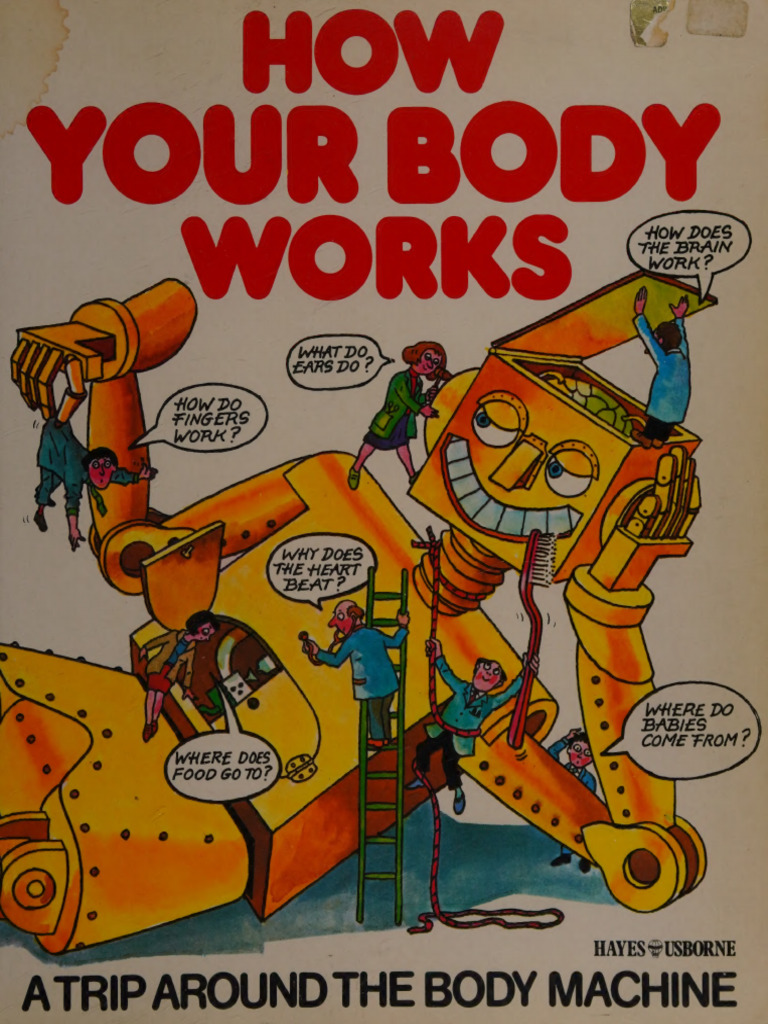 Judy Hindley - How Your Body Works (1975, Usborne) - Libgen - Li | PDF