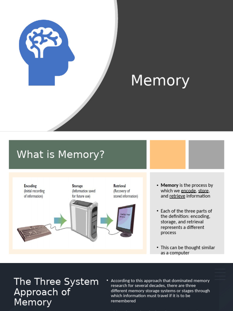 Memory | PDF