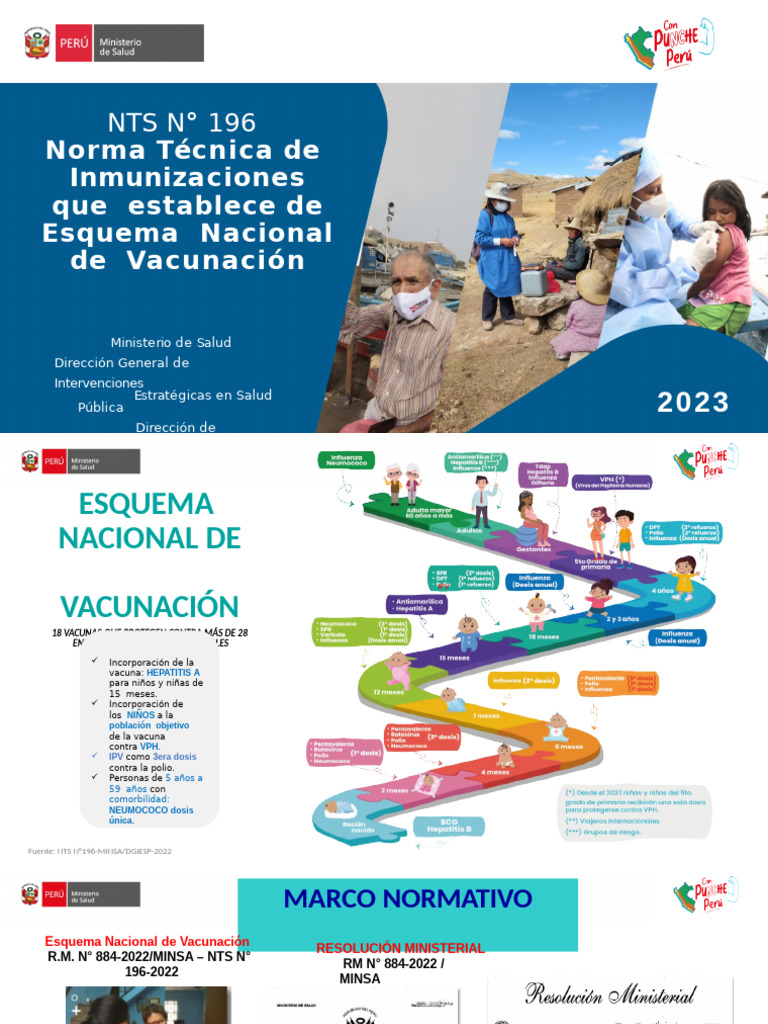 Norma Tecnica de Anemia 213-2024 Kimberly | PDF | Virología | Vacunación