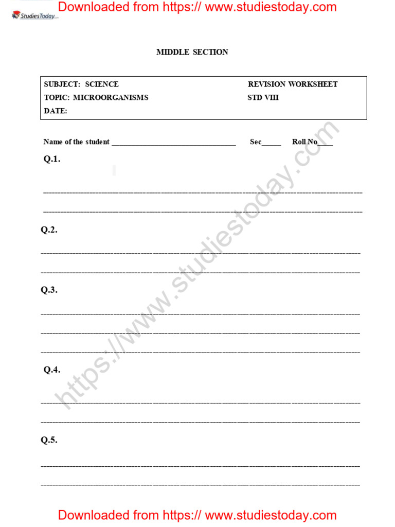 Middle Section | PDF