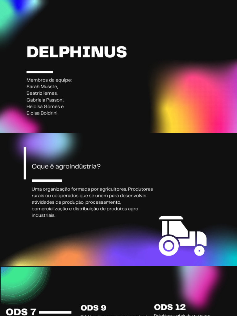 Delphinus Equipe 2 PDF | PDF