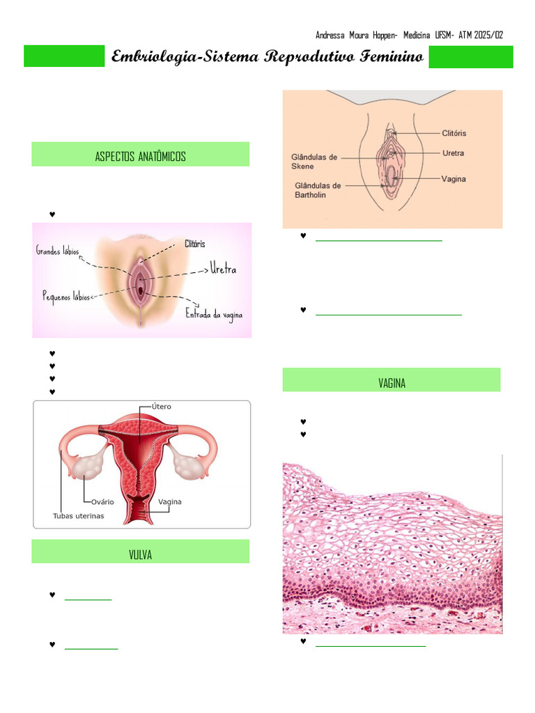 1. Embriologia- sistema rep feminino | PDF