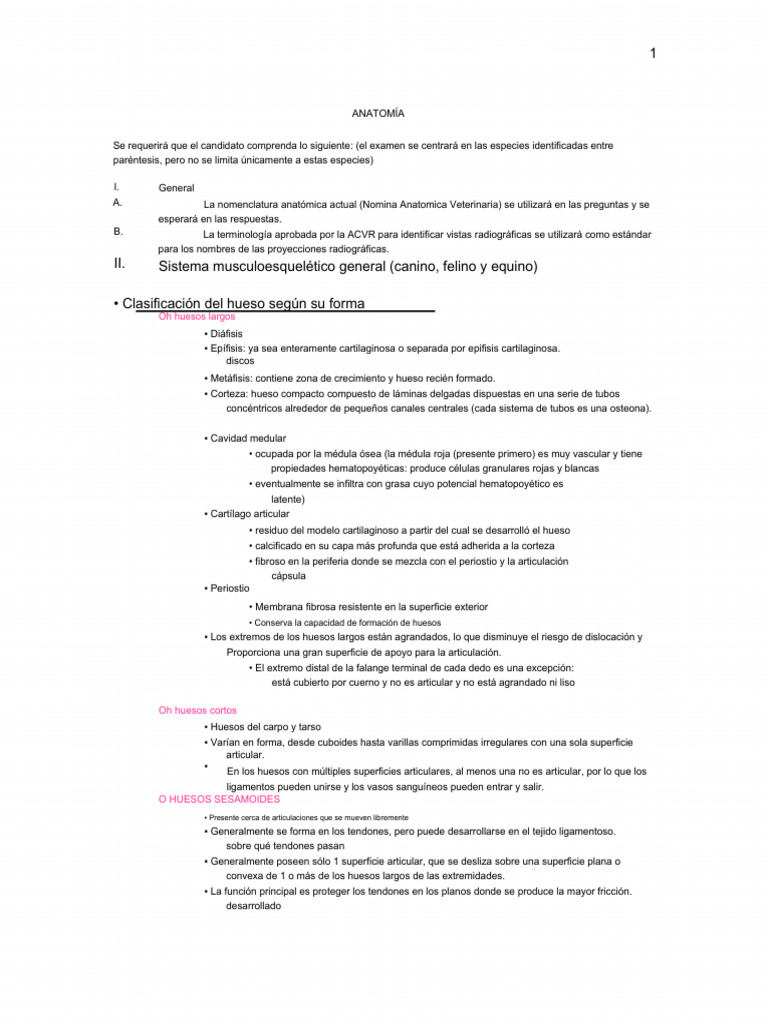 Anatomia 1 150 | PDF