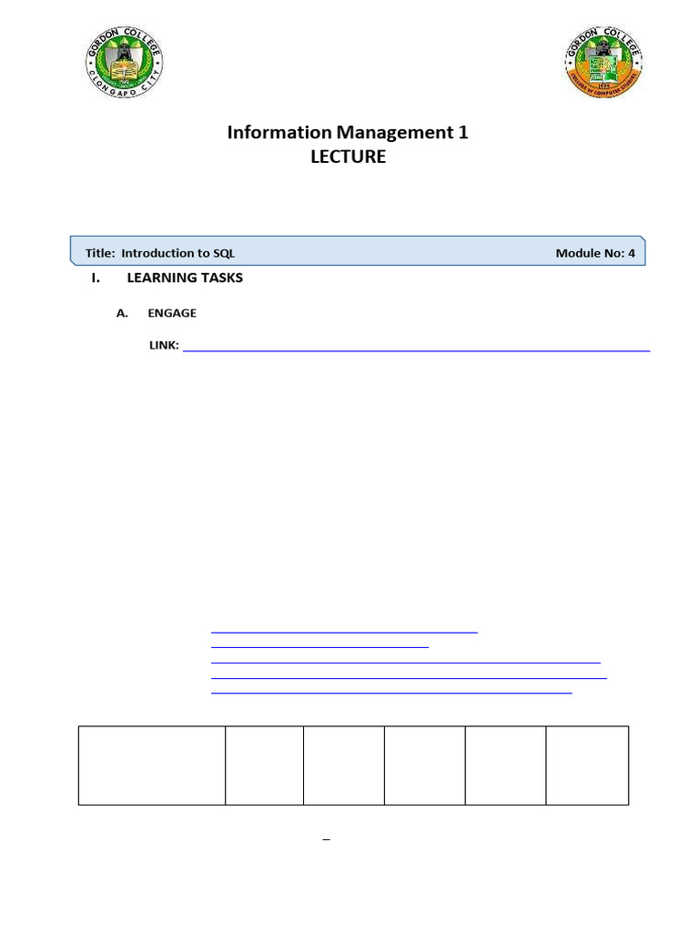 Serafica - Activity Task Module 4 Infmngt Lecture | PDF