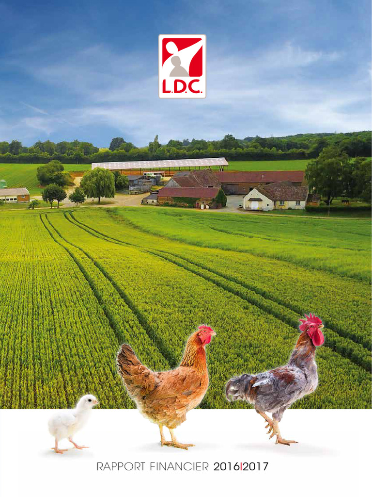 Rapport-Financier-Annuel-LDC-2016-2017 | PDF