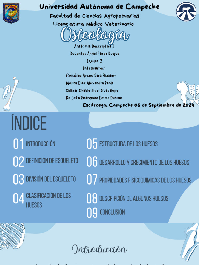 Osteología: Estructura y Clasificación de Huesos | PDF | Hueso | Salud ...
