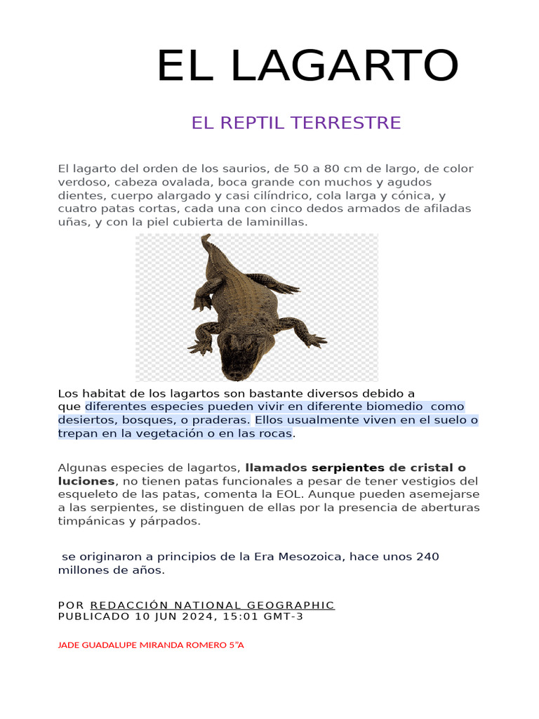 El Lagarto | PDF | Hogar, jardinería y bricolaje