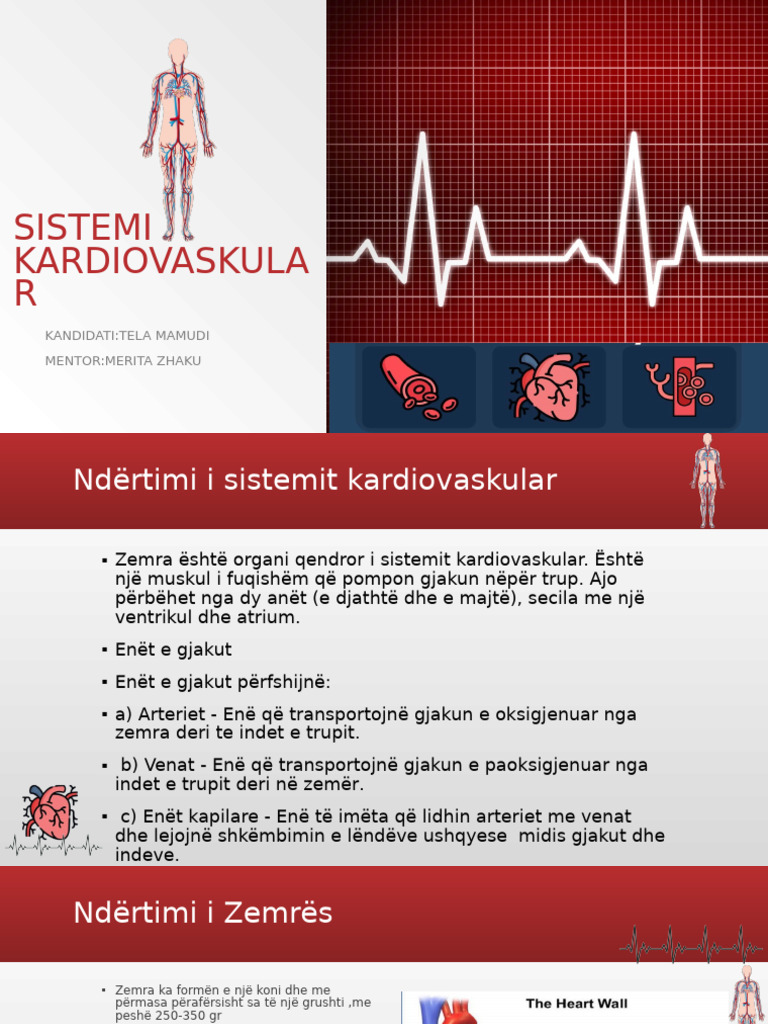 Sistemi Kardiovaskula R: Kandidati:Tela Mamudi Mentor:Merita Zhaku | PDF