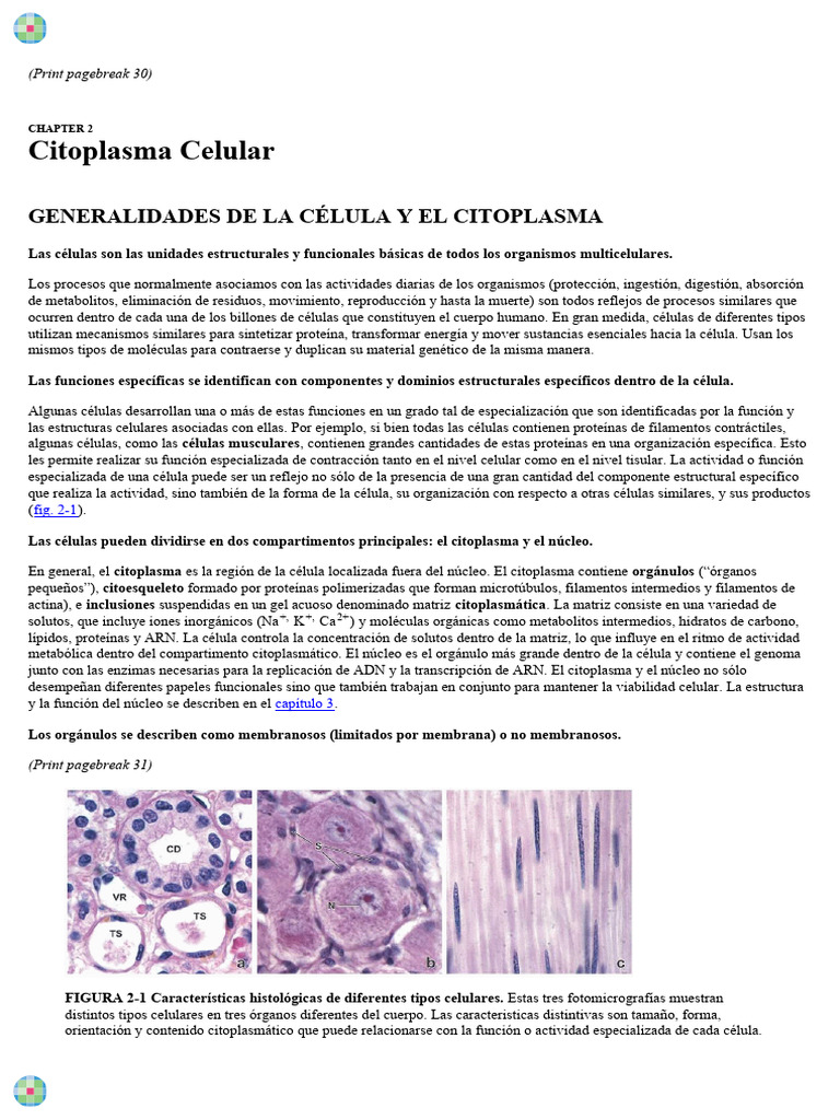 2 - Citoplasma Celular | PDF
