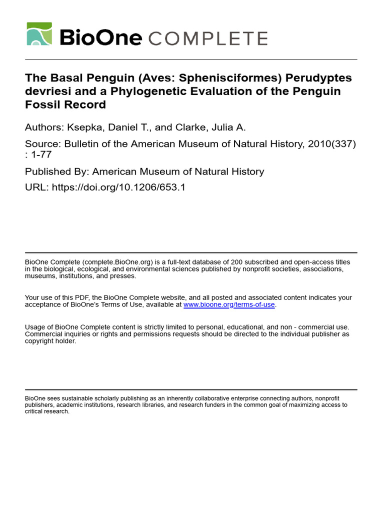 The Basal Penguin (Aves: Sphenisciformes) Perudyptes Devriesi and A ...