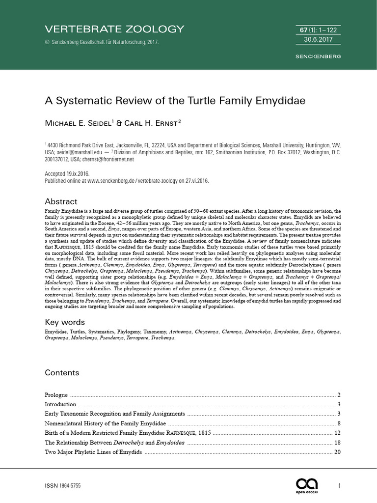 VZ Article 31535 en 1 | PDF
