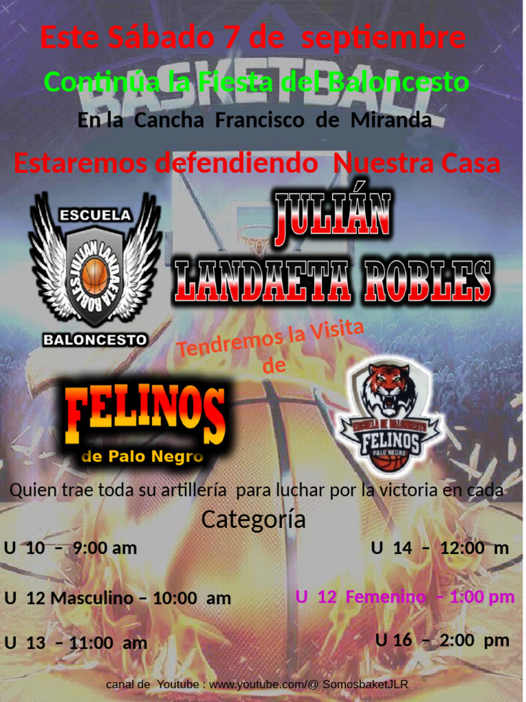 Flayer Felinos | PDF